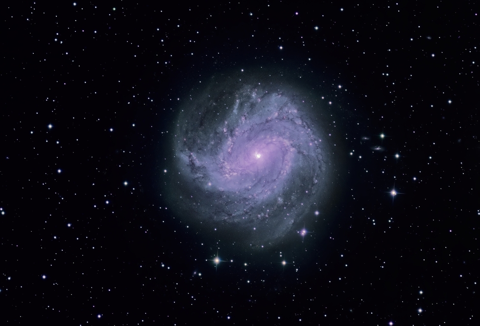 M83 SOUTHERN PINWHEEL | Telescope Live